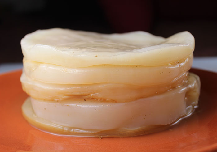 How to Make a Kombucha Scoby From Scratch