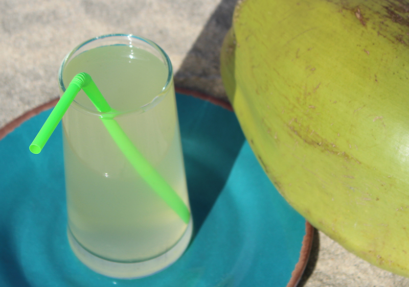 Benefits of Coconut Water, Should You Drink It?