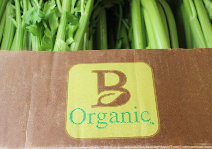 Top Benefits of Celery Juice, Why You Might Want to Consider It