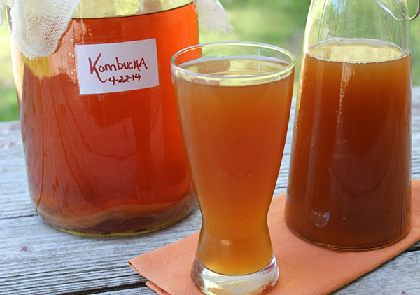 Kombucha Recipe, How to Make a Basic Homemade Kombucha