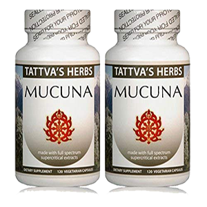 Mucuna Pruriens Benefits, The Ayurvedic Dopamine Bean