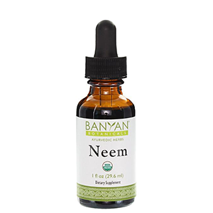 The Power of Neem Leaves, Ayurvedic Herb for Healthy Blood Skin & More