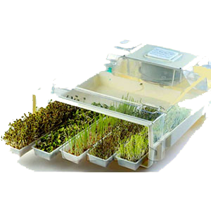Growing Super Sprouts, Types of Sprouts and Their Benefits