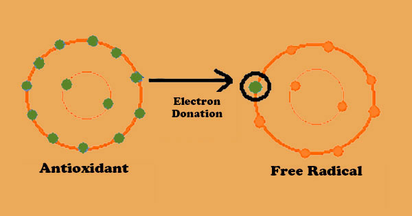 What are Antioxidants, Their Nutritional Role and Health Benefits?